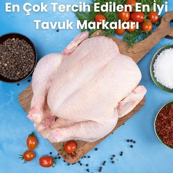 En Çok Tercih Edilen En İyi Tavuk Markaları - Öğren Bunu